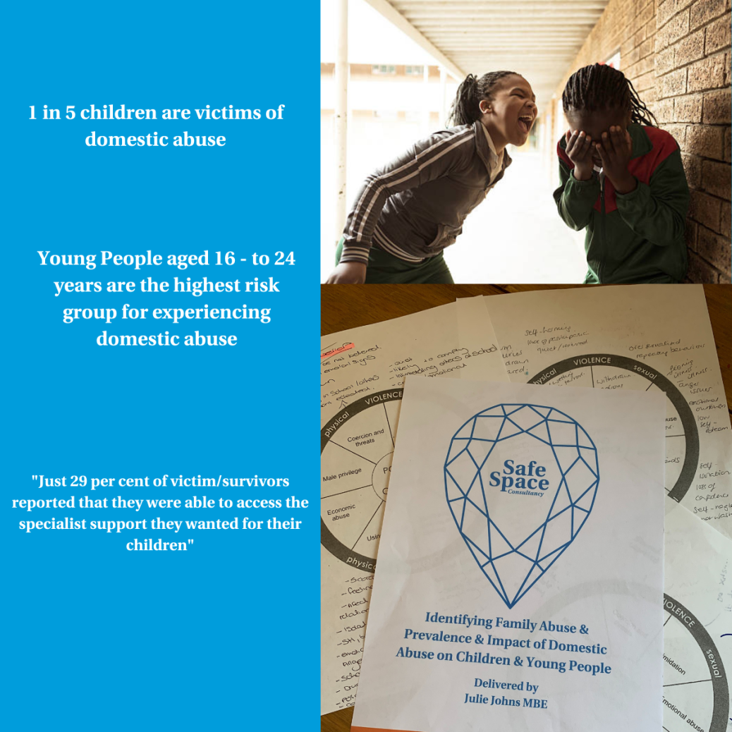 Safe Space Consultancy Domestic Abuse Training & Awareness